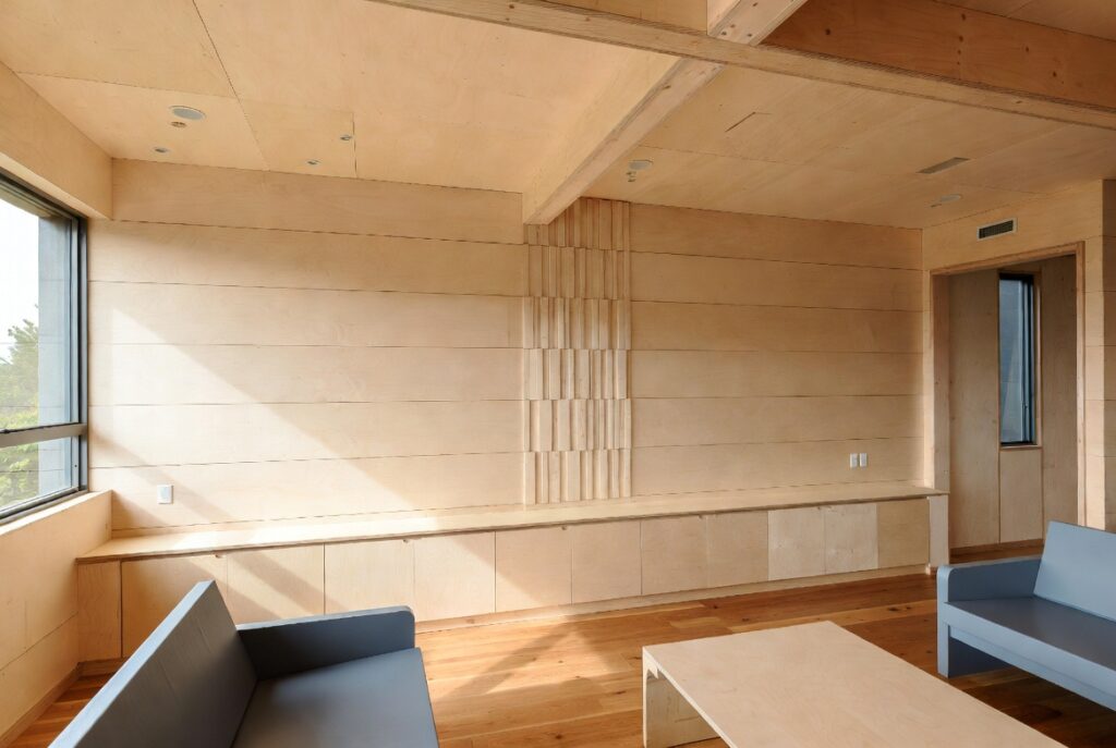 Structural vs Non-Structural Plywood: Key Differences, Uses & Selection ...